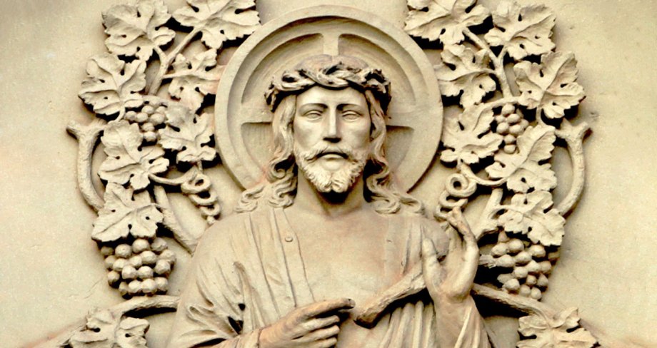 Christ as the True Vine: Exploring the Depths of John 15:1-8 – J.Hill ...